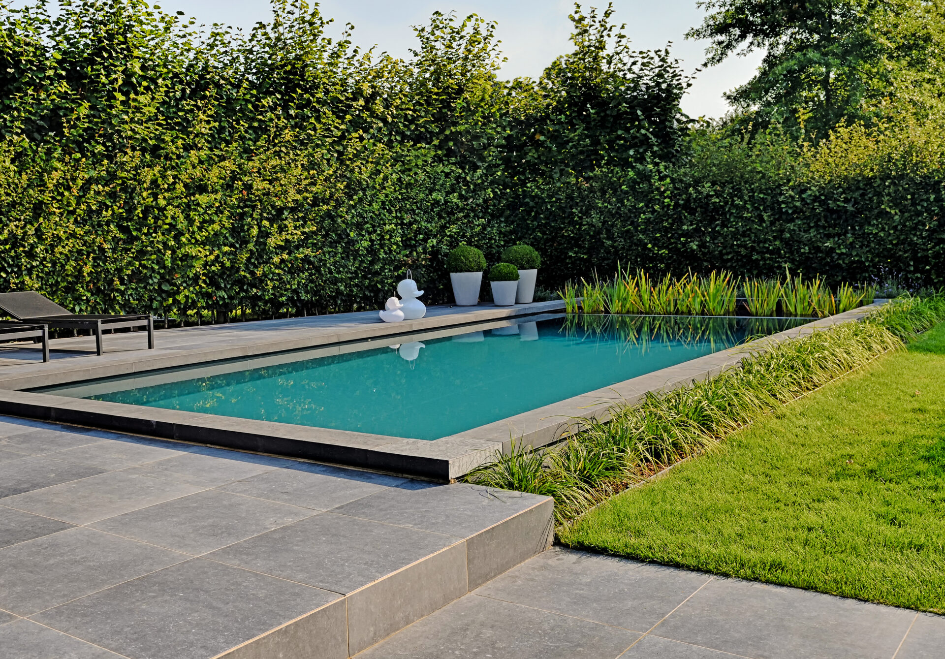 Natural pools & ponds | Fluidra